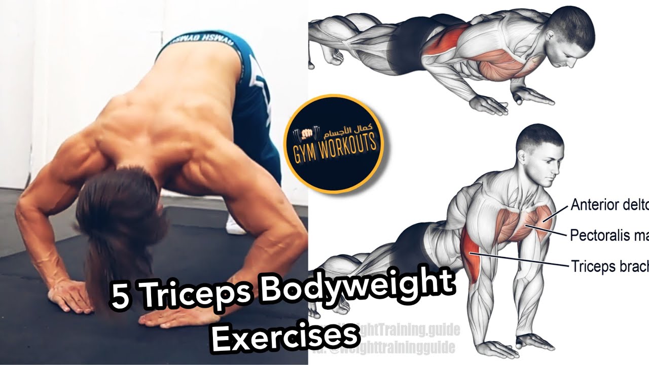 5 Triceps Bodyweight Exercises At Home - YouTube