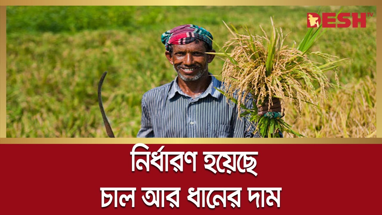 চাল লক্ষ্যমাত্রা সাড়ে ৮ লাখ টন, নির্ধারণ হয়েছে চাল ও ধানের দাম | Rice ...