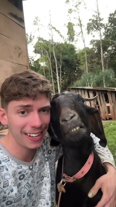 goat man singing 🐐 viralhug 🐣 #viralhug - YouTube