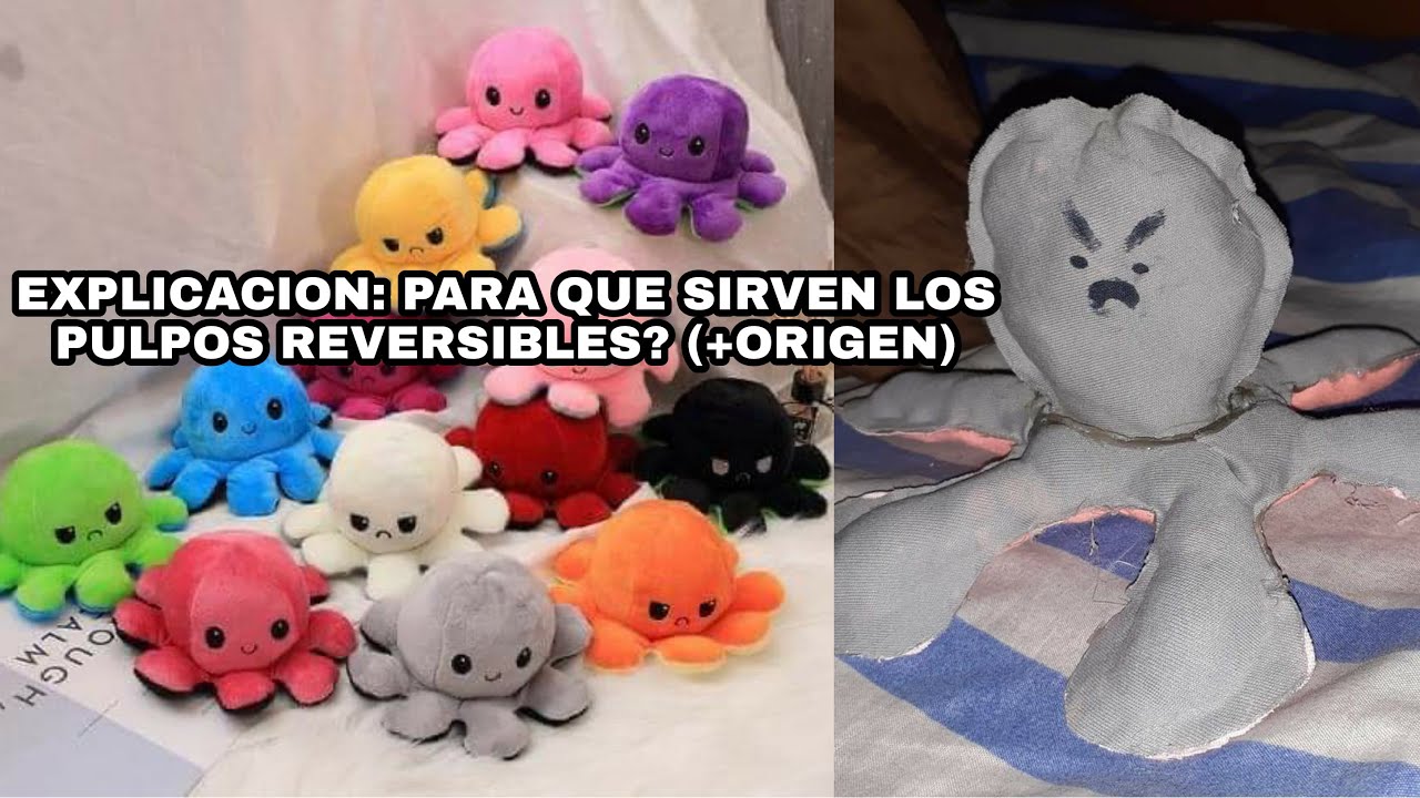 EXPLICACION: PARA QUE SIRVEN LOS PULPOS REVERSIBLE??? (+ORIGEN DEL MEME ...