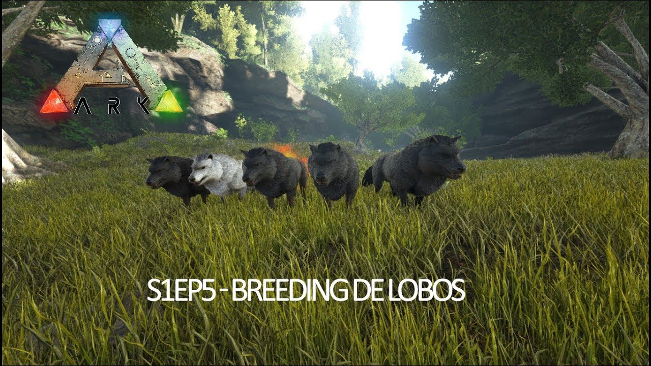 BREEDING DE LOBOS !!! ARK:SURVIVAL EVOLVED - YouTube