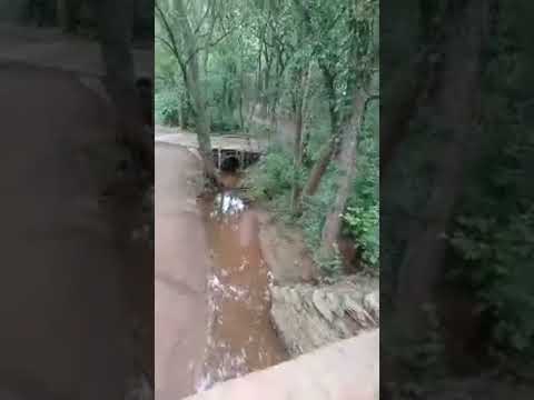 Matt Ralph is going live! - YouTube