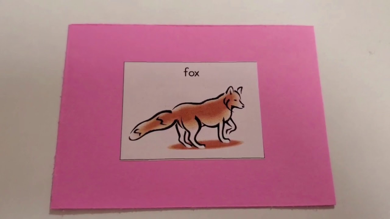 hot log fox box mop pot mom dot - YouTube