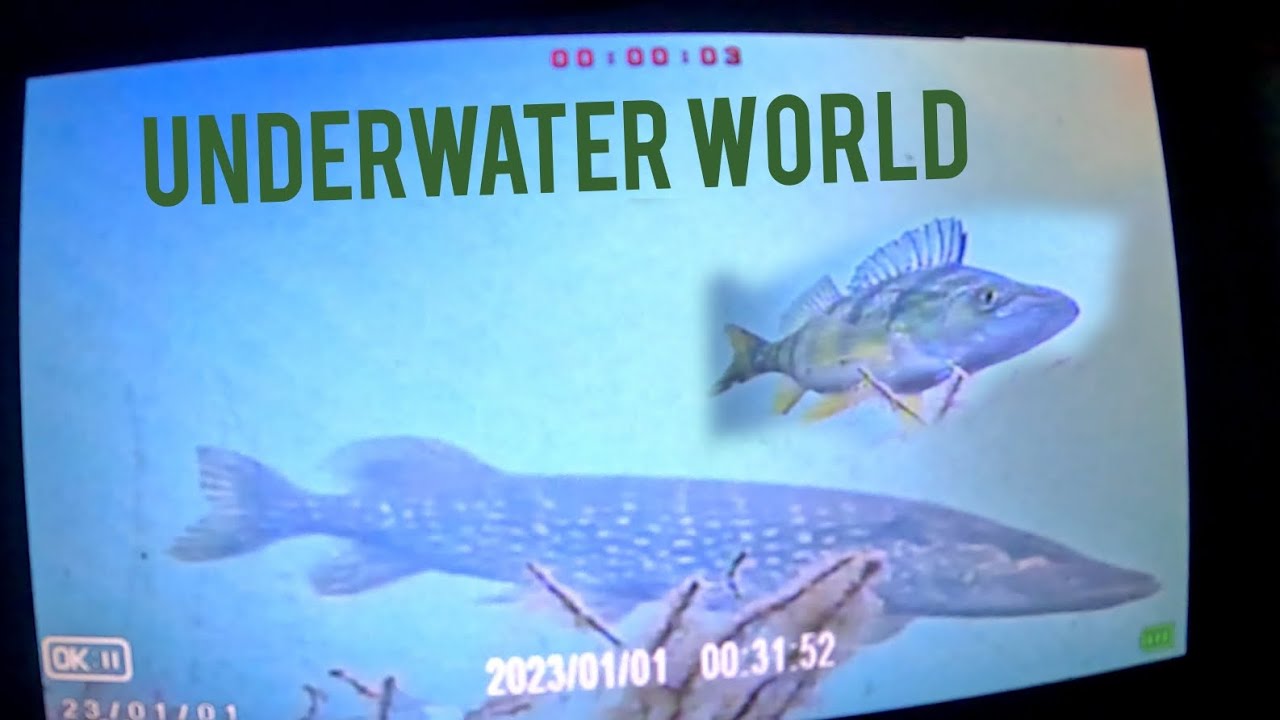 UNDERWATER FOOTAGE WITH NEW AQUA VIEW ( HIGH WINDS - 25 TEMPS ) - YouTube