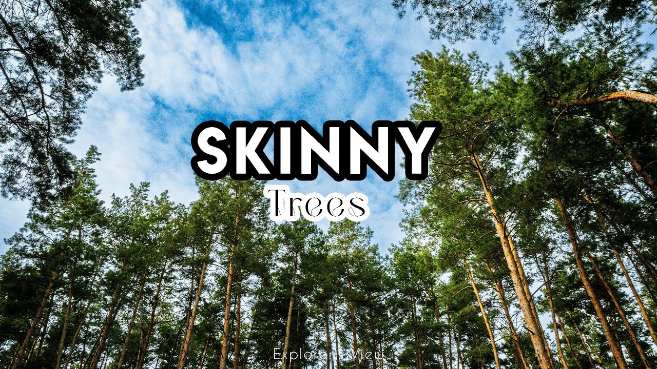 Skinny Trees | 4K | Heart of the Nation - YouTube