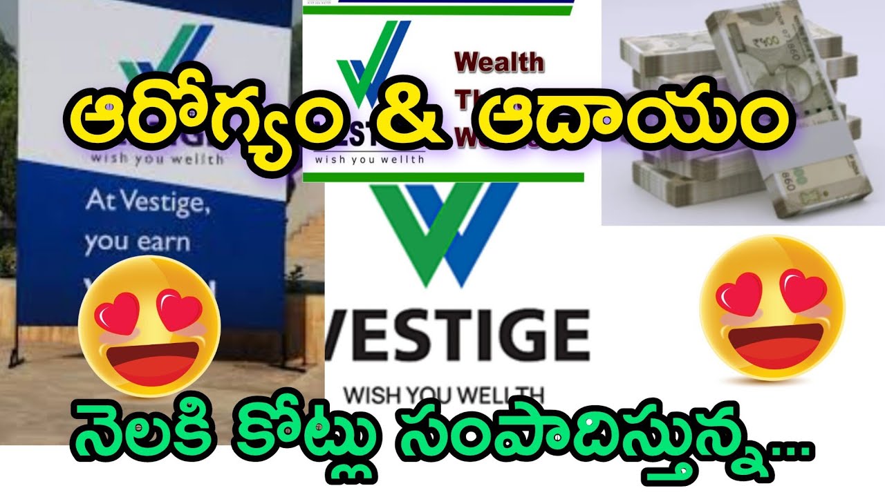 vestige my success plan|vestige new business plan|vestige telugu ...