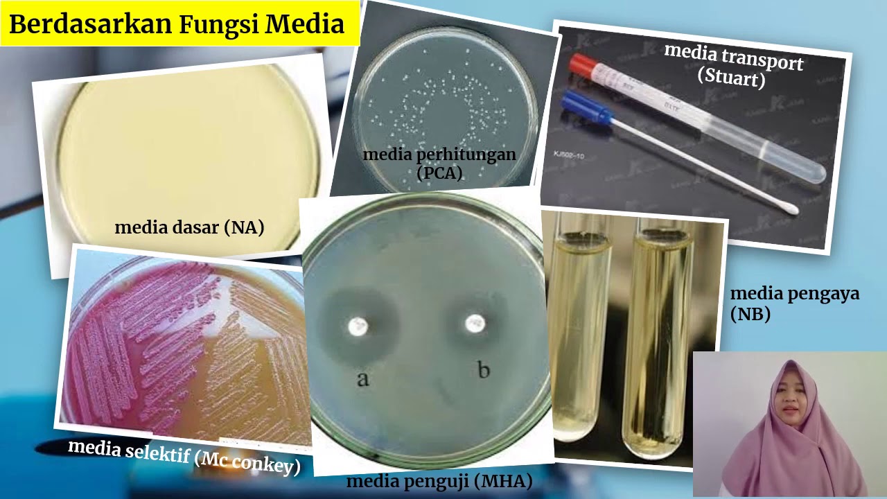 Praktikum Mikrobiologi Virtual : Pembuatan Media Pertumbuhan Unit 2 ...