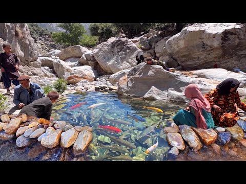 Amazing Big Fish Catch in the Mountains 🎣 | Unbelievable Fishing Technique 🐟 | Rural Village Life 🏔️