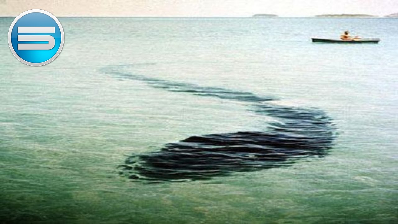 5 Mysterious Photos That Cannot Be Explained YouTube 5-mysterious-photos-that-cannot-be-explained-youtube
