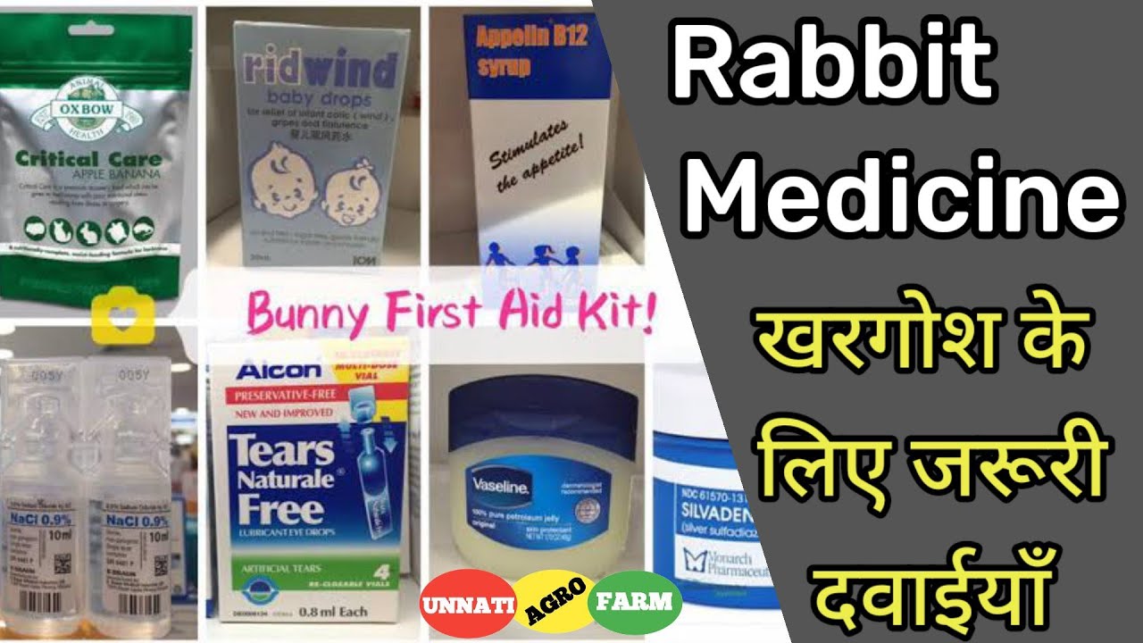 खरगोश के लिए जरूरी दवाइयाँ ll Best Medicine for Rabbit at Home - YouTube