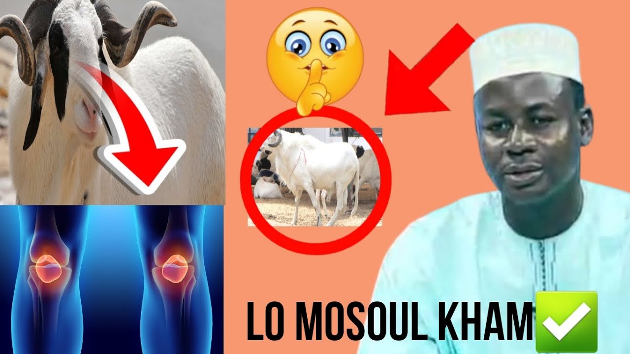 ALLAHO AKBARE lo Mosoul Kham ci Khar🐏 Avec Oustaz Hady Niass - YouTube