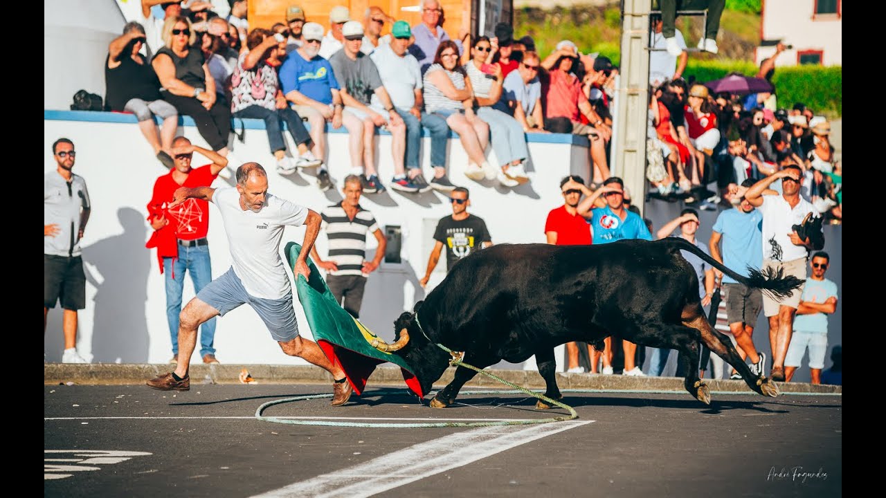 Imagens da Tourada CAJAF nas Quatro Ribeiras a 7 de agosto - YouTube