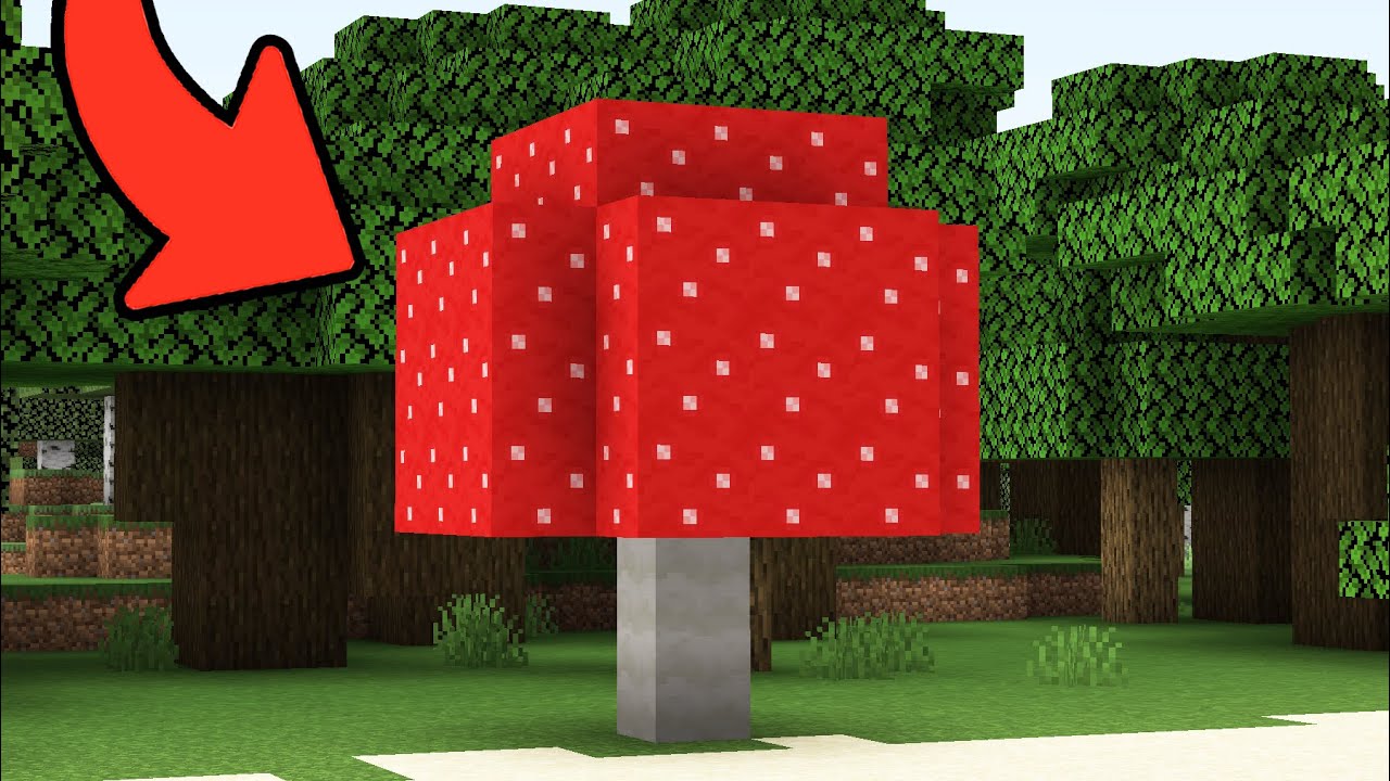 The BEST Secret Bases in Minecraft! (3 Ideas!) - YouTube