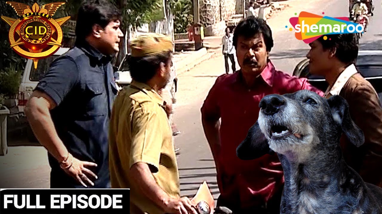 Dog Mystery | CID Officer Freddy Get Scared By The Black Dog | CID ...