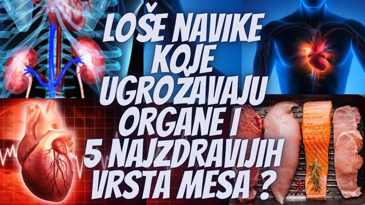 Nezdrave navike koje uzrokuju bolesti i najzdravije vrste Mesa - YouTube