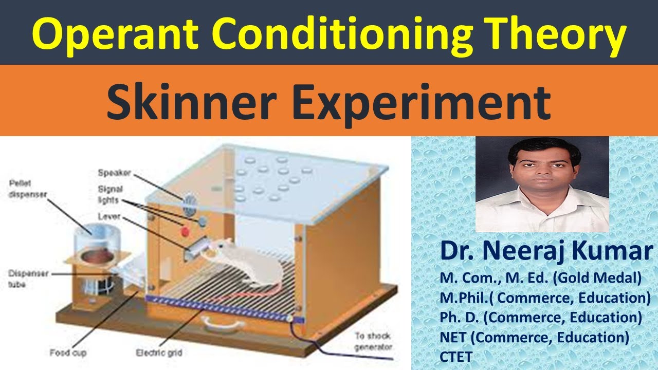Operant conditioning theory (part 2) I Learning I theories I B.Ed ...