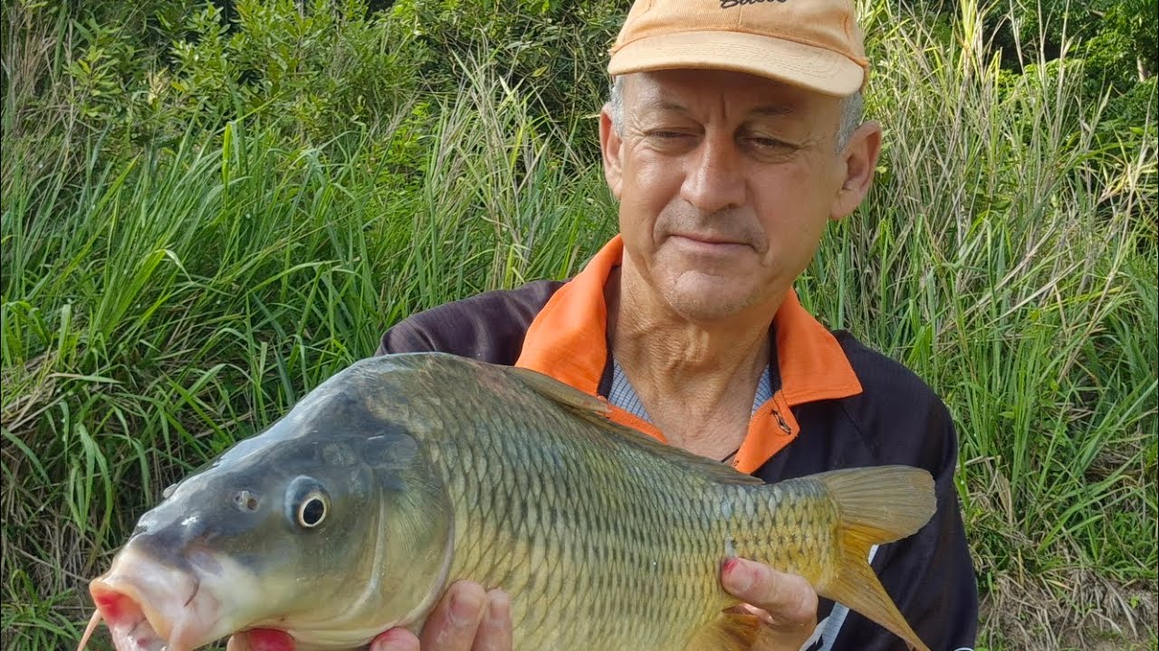 82. Best Carp Baits, South Africa - YouTube