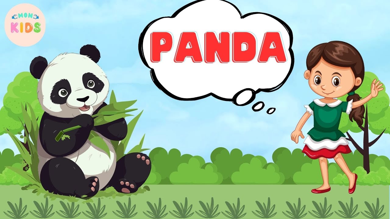 Panda Facts For Kids 🐼 Learn All About Pandas | MON Kids - YouTube