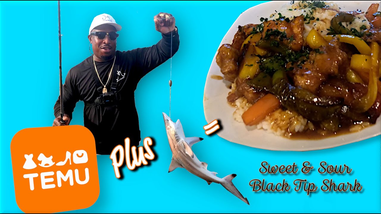 Fishing for Blacktip shark on a TEMU setup! Will it hold up?!?! @temu ...