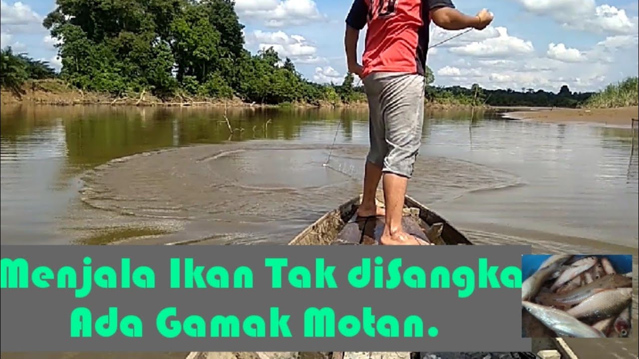 Menjala Ikan Tidak disangka Ada Gamak Motan. - YouTube