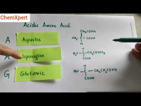 Trick to learn Amino Acids Structures| Biomolecules - YouTube