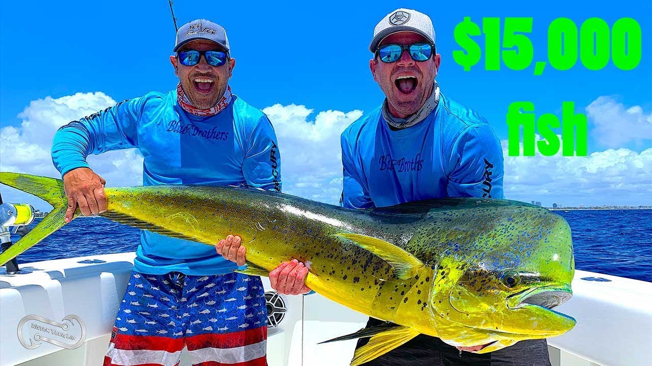 RECORD BREAKING DOLPHIN - A $15,000 FISH - YouTube