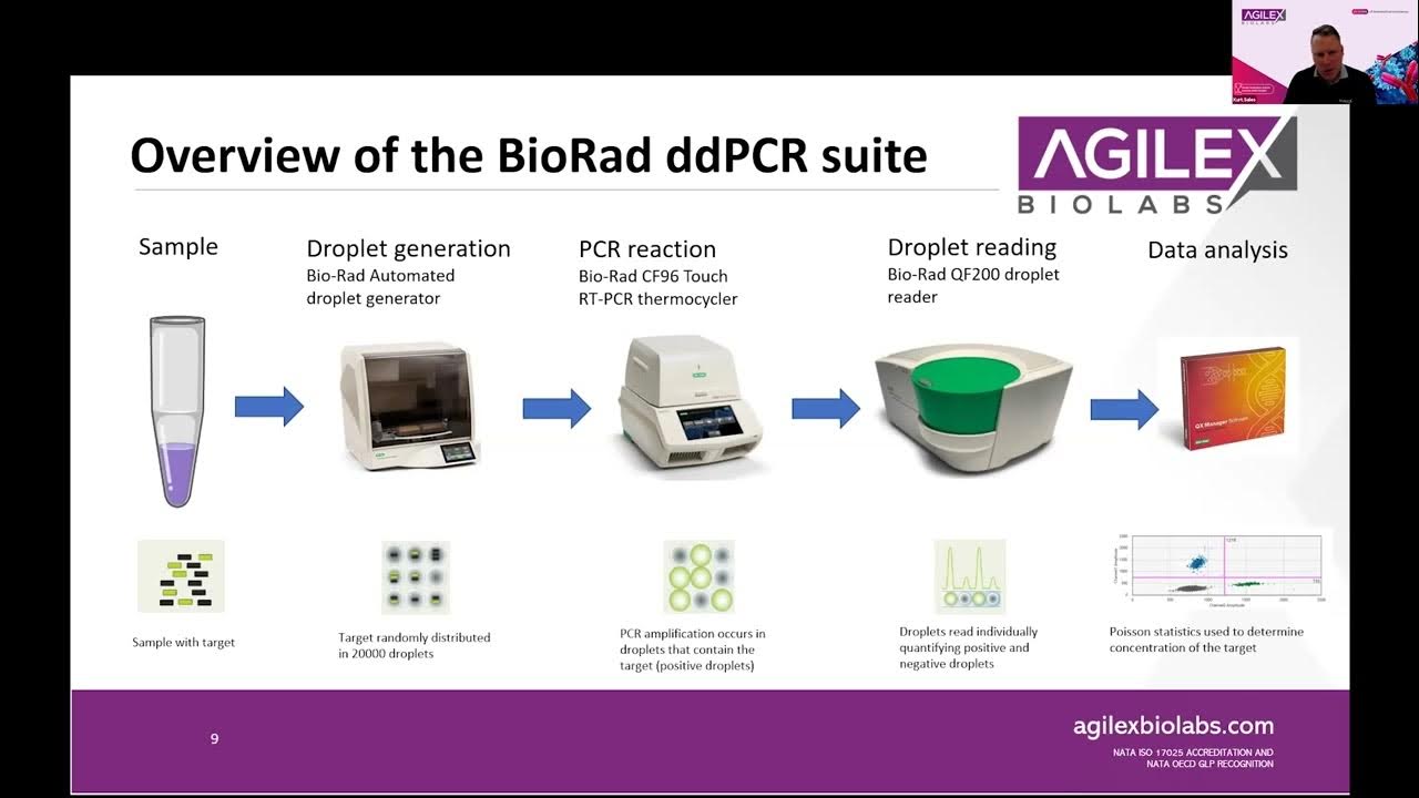 Identify and quantify point mutations in circulating tumour DNA: The ddPCR approach™ - YouTube