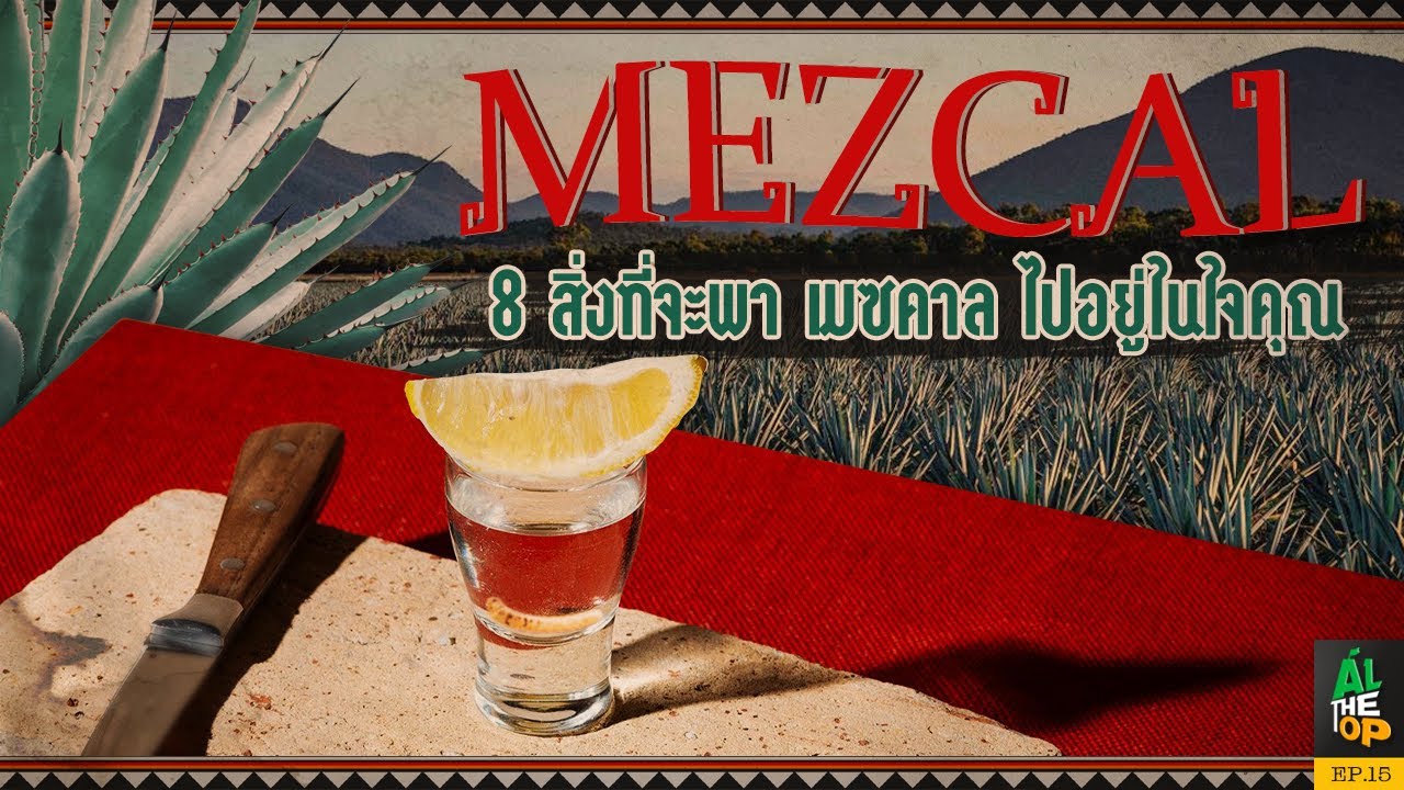 ทำความรู้จัก Mezcal ตัวตายตัวแทนเตกีล่า | 8 Things You should know ...