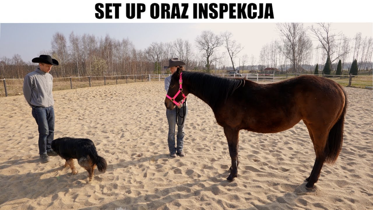 Kurs jazdy western - Showmanship at Halter | odc. 4 - set up inspekcja ...