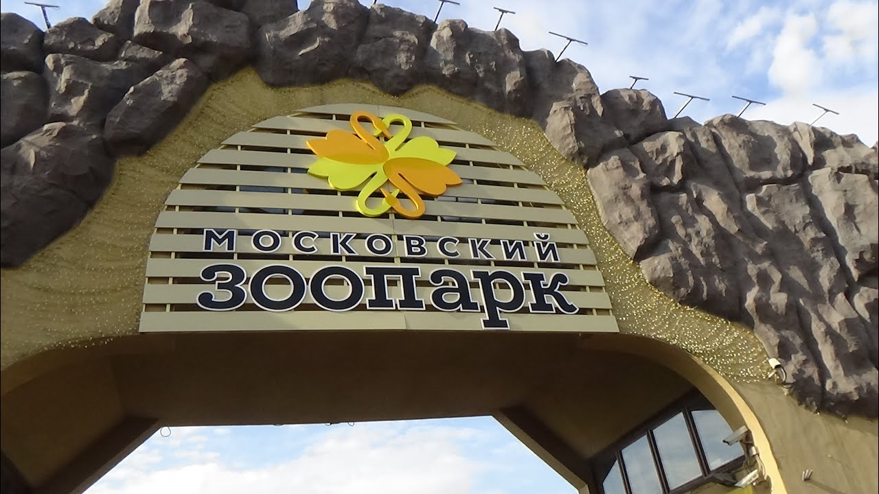 Московский Зоопарк !!! Moscow zoo. - YouTube