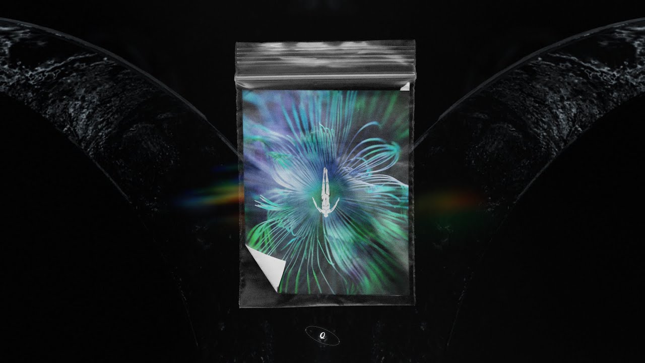 Innellea - Reflected Wisdom - Five Phases Project | Afterlife Records ...