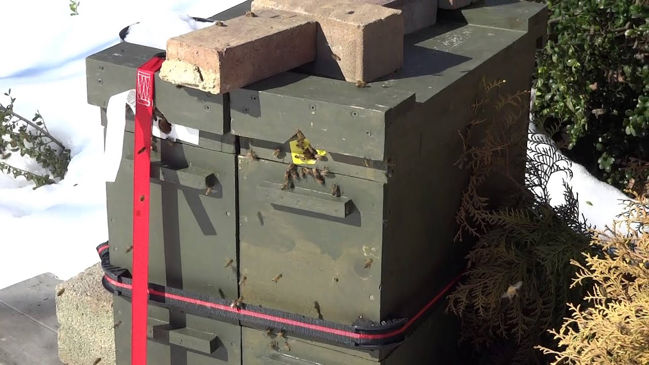 Double 4 frame Nucs - YouTube