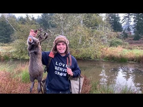 Catch n Cook: NUTRIA - YouTube
