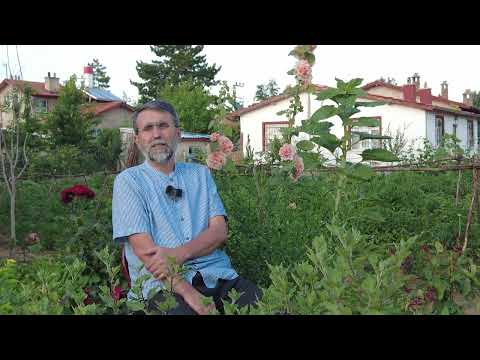 Gün ne zaman başlar, ne zaman biter?