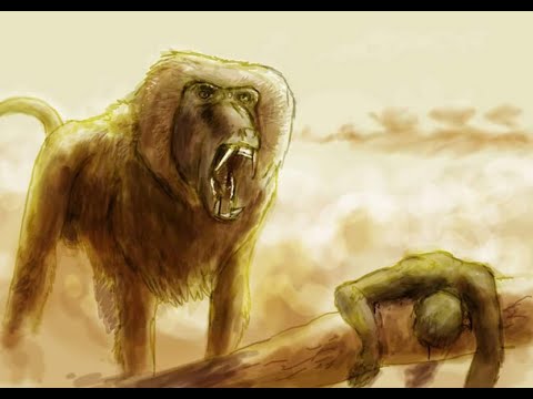 El mono terrible (Dinopithecus) #paleontologia #prehistoria # ...
