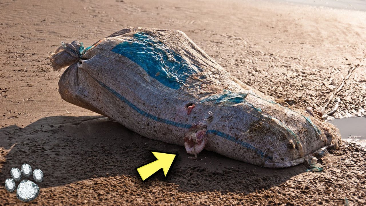 Opening the Sack, the Boy Cried He Couldn't Believe that Such a Thing ...