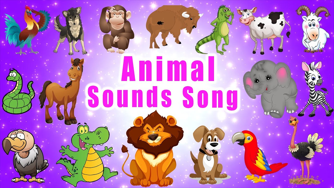 ABC Animal Sounds Song A61 | Animal Names & Sounds | LittleKidsTV - YouTube