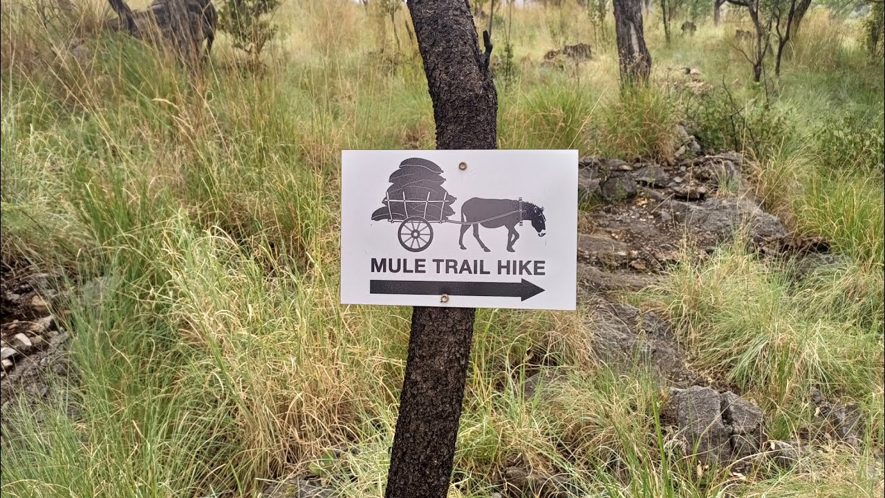 The Hiking Experience E108: 1969 Mule Trail - YouTube