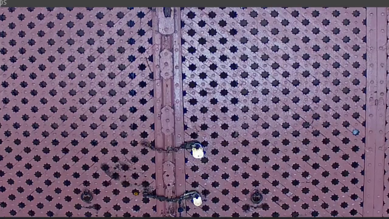 Divine channel Live Stream - YouTube