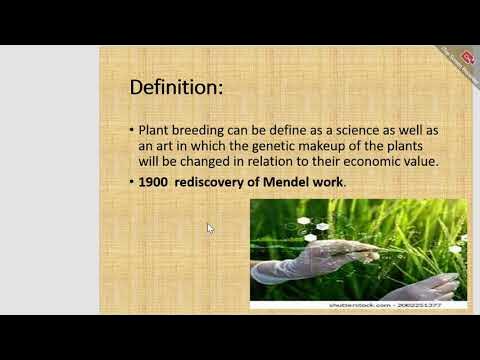 introduction to plant breeding lecture 1 / plant breeding and genetics ...