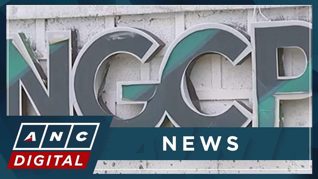 DOE Chief blames NGCP for Panay power outage | ANC - YouTube