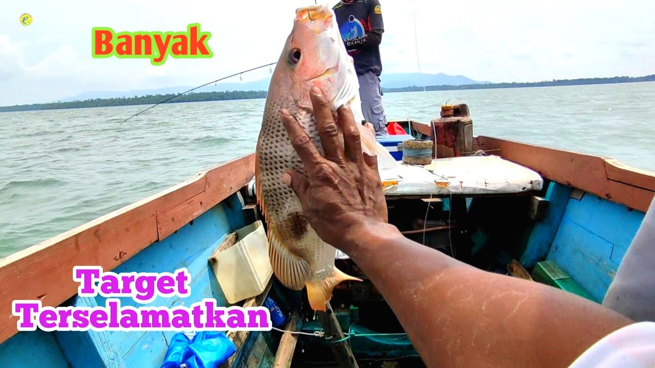 Mancing dasaran saat angin kencang malah ikan tompel besar² yang makan..!! - YouTube