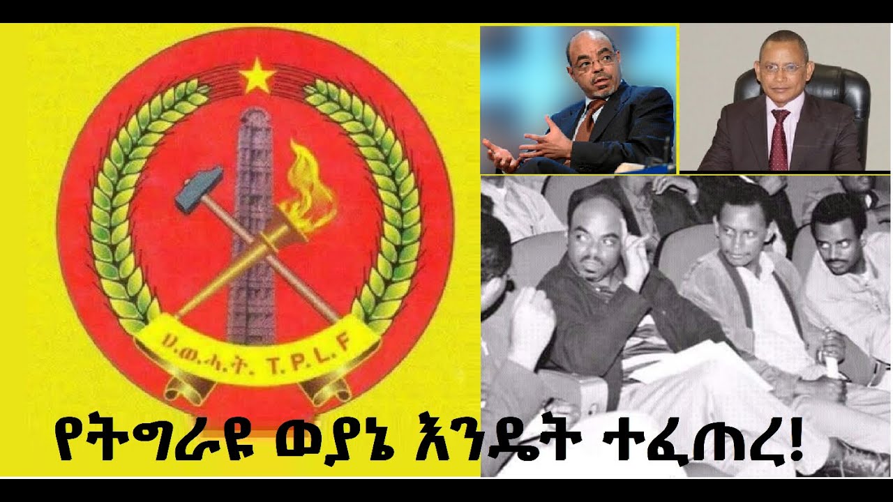 Ethiopia- ወያኔ ከሀ እስከ ... |የትግራዩ ወያኔ (ህወሃት) እንዴት ተፈጠረ? | How Is Woyane ...
