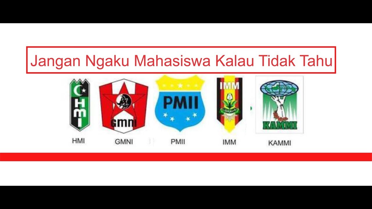 Organisasi Ekstra Kampus - PMII, HMI, GMNI, IMM, KAMMI | Mahasiswa ...