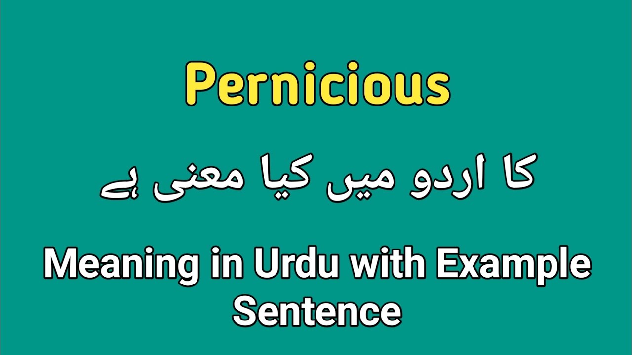 Meaning of Pernicious in urdu/hindi || Pernicious ka matlab kia hota ha ...