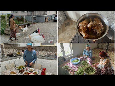 YEŞİL FASULYELERİ NASIL DEĞERLENDİRİYORUM📢 KELLE PAÇA SEVENLER BURAYA❗️GÜNLÜK VLOG