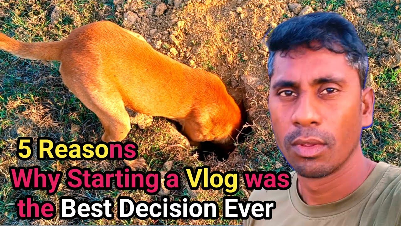 5 Reasons Why Starting a Vlog was the Best Decision Ever - YouTube