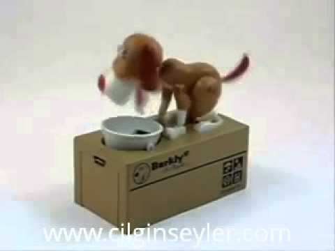 Para Yiyen Köpek Kumbara / www.cilginseyler.com