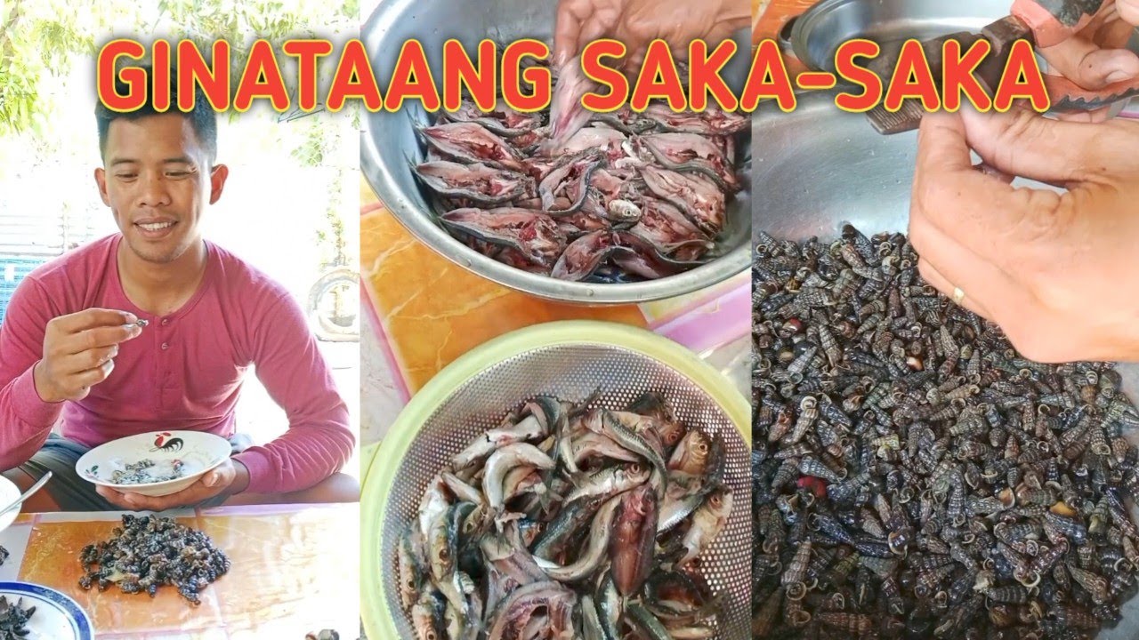 GINATAANG SAKA SAKA || Tapulok na binabad #bugoypogi - YouTube