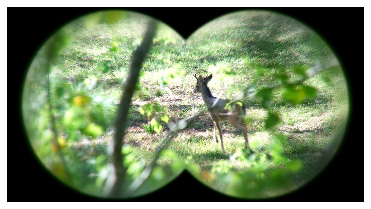 Hunting Small Parcels With The Wind | Scouting the CROSSINGS - YouTube